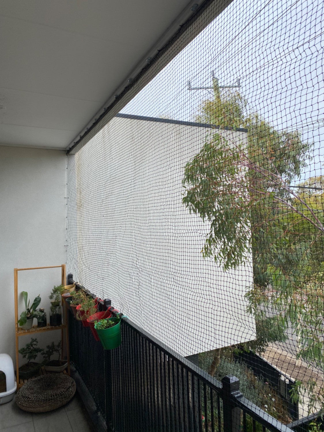 Gallery – Catnets Singapore