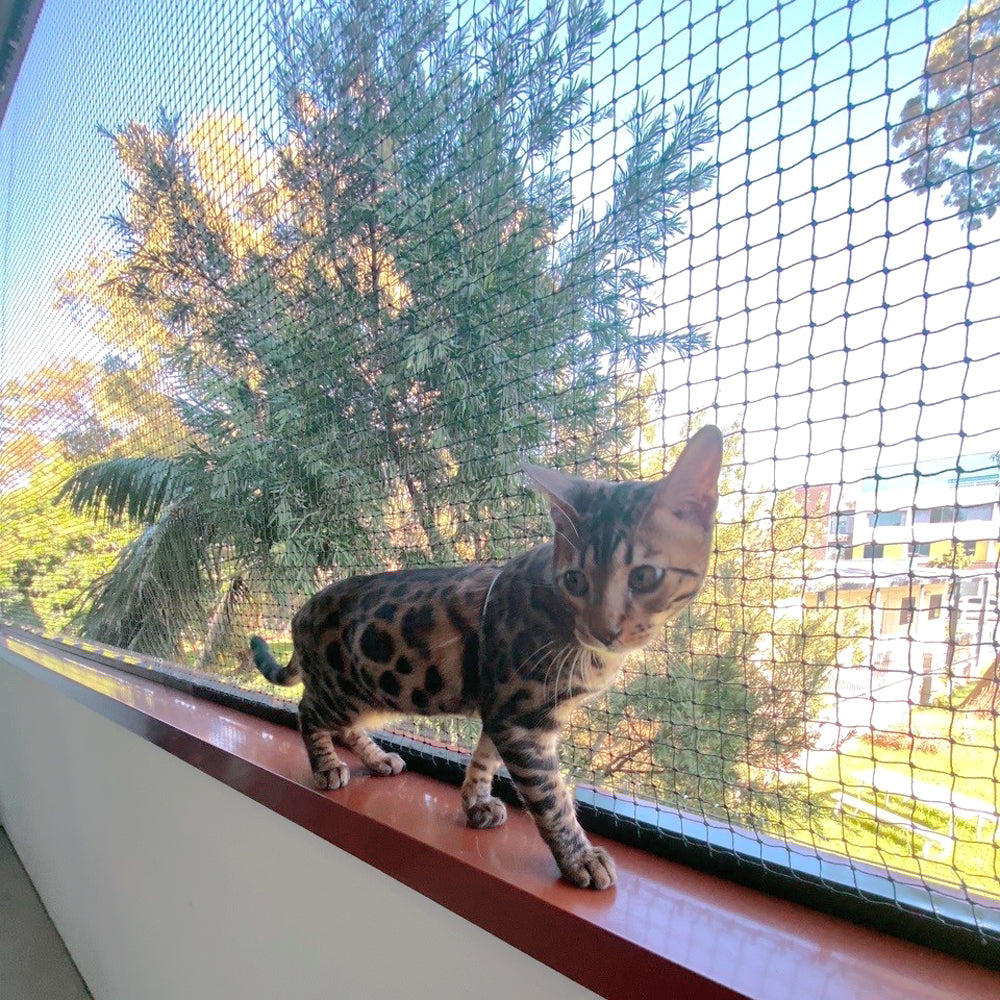 Balcony and Window Netting Packs – Catnets Singapore