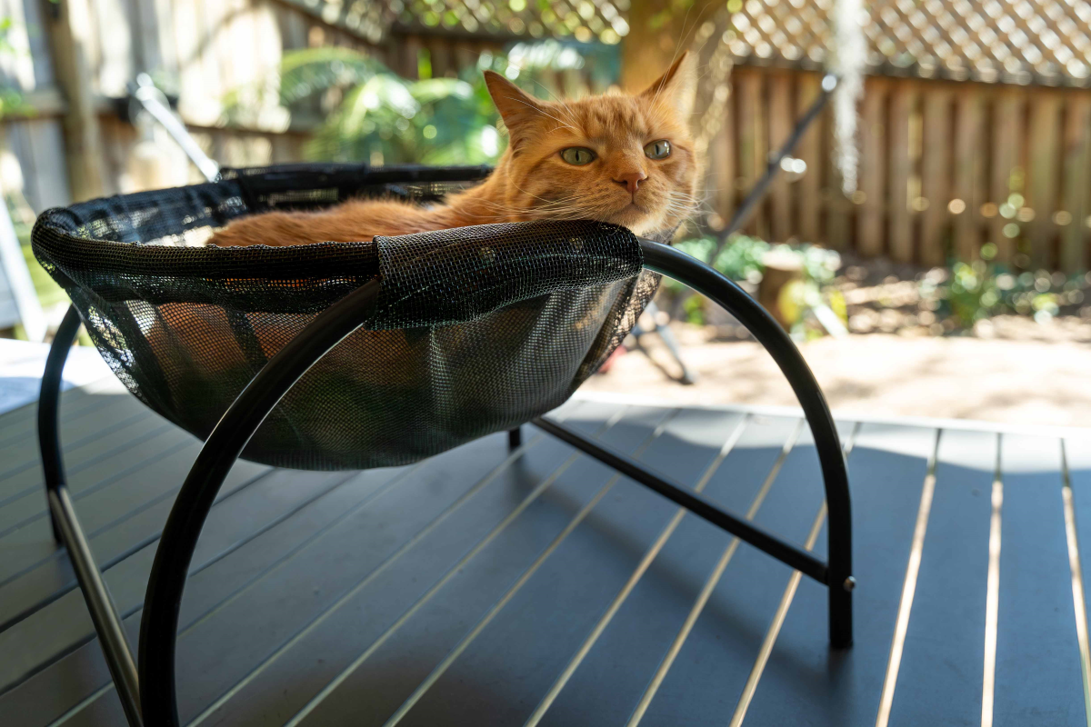 Skywalks Floor Cat Hammock – With Stand & Catnets Singapore