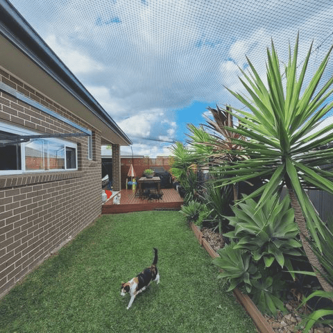 Cat Netting (by-the-metre) Black – Catnets Singapore