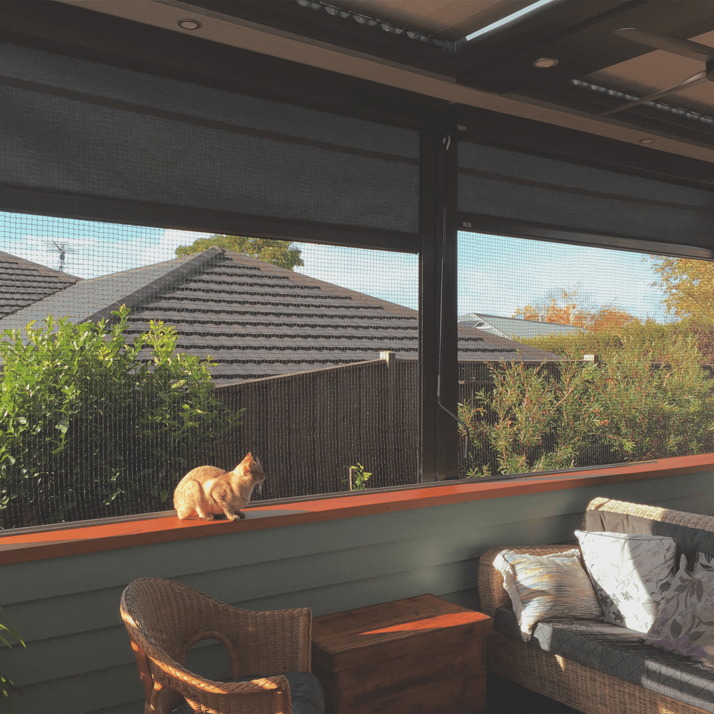 Cat Netting (by-the-metre) Black – Catnets Singapore