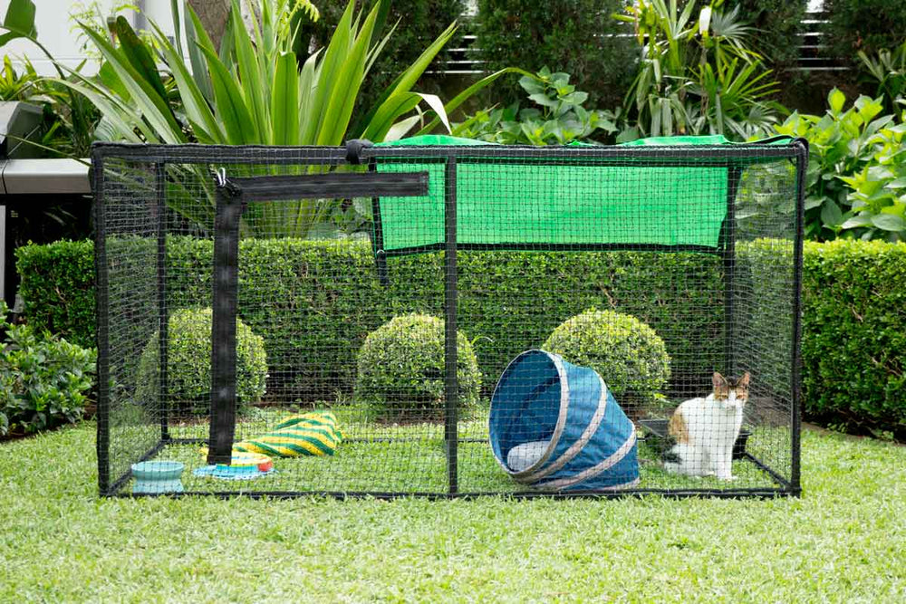 Freestanding Cat Enclosures – Catnets Singapore